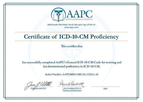 Medical Coding Course Best Medical Coding Institute Iim Skills