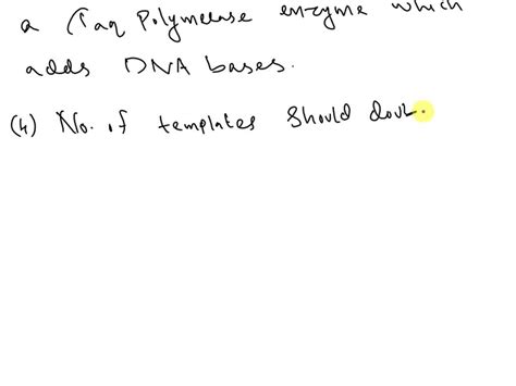 Solved 2 4 List The Steps In A Pcr Cycle Describe What Happens At Each Step Denaturation