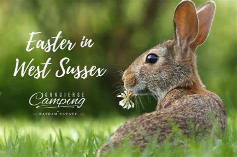 5 Things To Do In West Sussex Over Easter Concierge Camping