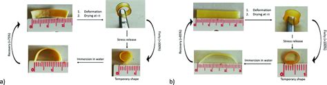 Water Triggered Shape Memory At Room Temperature Of The Peopcl Hybrid Download Scientific