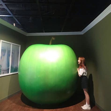 르네 마그리트 특별전 초현실주의 작품 앞에 서다 네이버 블로그