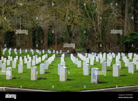 Wa22980 00washington Grave Stones And Christmas Wreaths At Fort