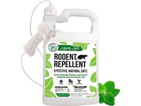 Do You Have Mice Holes In Yard How To Get Rid Of Them Asap