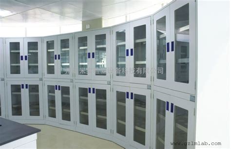 药品柜供应厂家 药品柜品牌 药品柜价格 广州禄米实验室 谷瀑 GOEPE