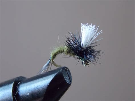 Bwo Emerger Fly Pattern