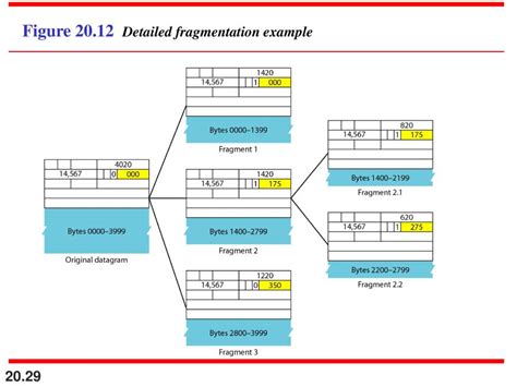 Network Layer Internet Protocol Powerpoint Slides Myprivatetutor Uae