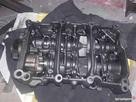 Pompa Oleju Vw Skoda Audi Tdi Chrzan W Sprzedajemy Pl