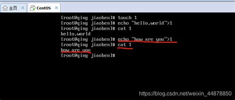 Linux系统shell脚本中的echo命令linux脚本echo Csdn博客