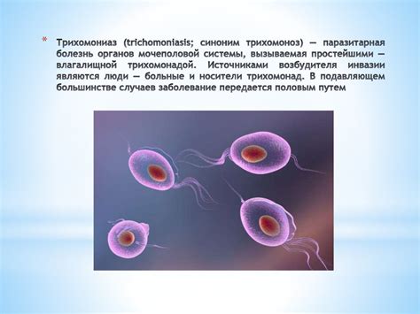Трихомониаз презентация онлайн