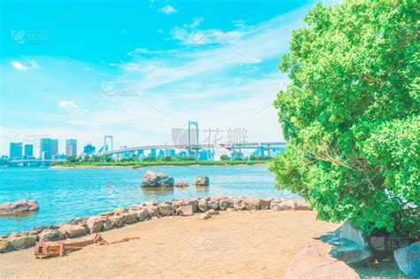 东京台场摄像机拍摄角度彩虹桥现代色彩鲜艳东京湾商业金融和工业东亚河流