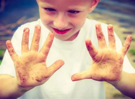 5 მნიშვნელოვანი საკითხი ჭიების და მათი პროფილაქტიკის შესახებ