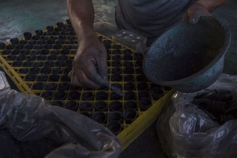 Un Accidente Por Mes Los Cuetes Tultepec Y La Pirotecnia En Edomex