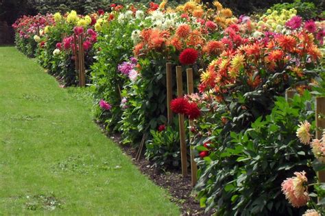 Dahlia Garden Design Gazebodesign