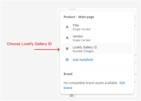 Using Metafield Dynamic Source Lookfy Gallery