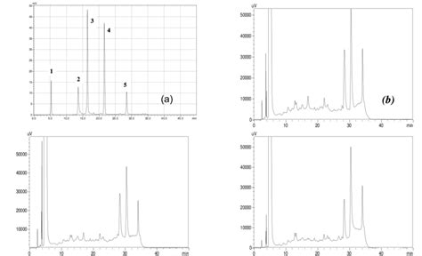 Chromatograms Of Standard Mixture A Classical Extraction B