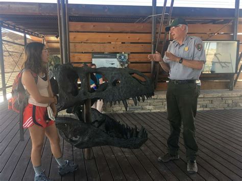 Dinosaurs Take Over Big Bend At Fossil Exhibit