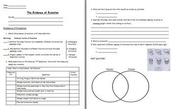 Free Evolution Worksheet Middle School Download Free Evolution