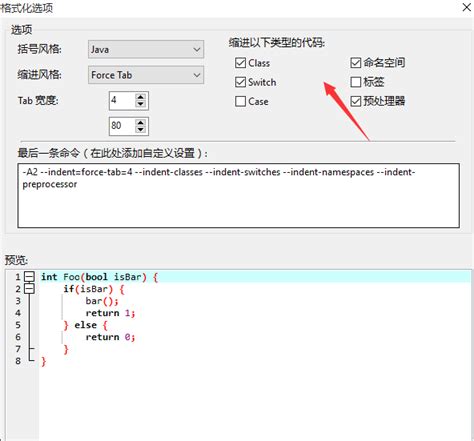 如何设置devc的格式化选项 编程语言 亿速云