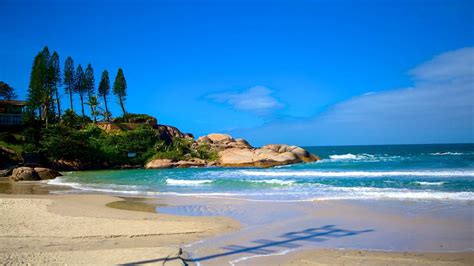 Playa Canasvieiras De Florianópolis Fidji Turismo Medium