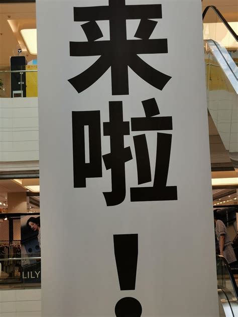 春燕吟：双翼穿破残霞舞 春来伤别分离乎 知乎