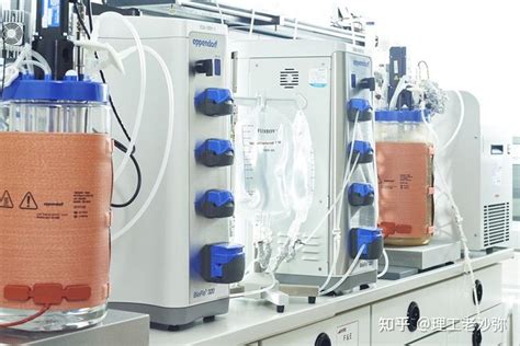 实验室里的生物反应器（2） 知乎