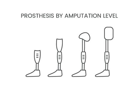 Leg Prosthesis Line Vector Icon Amputation Rate 29135806 Vector Art