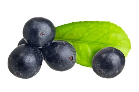 The Amazing Health Benefits Of Acai Berry The Holistic Ingredient