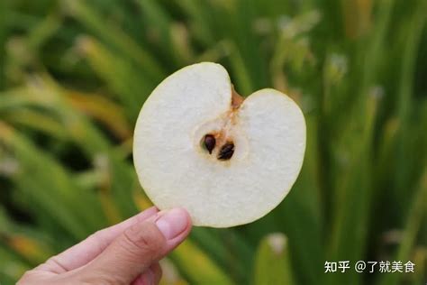 这颗梨子，让国人等了它47年！滴滴蜜露，皮薄肉嫩，吃一口记一生！ 知乎