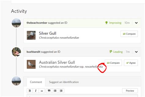 Long Taxon Name Cut Off In Observation By Compare Button Bug Reports