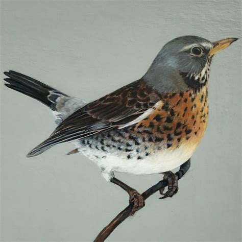 Deborah Sorg Freischaffende Künstlerin