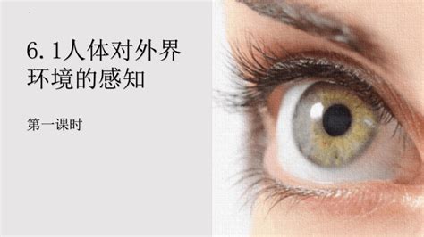 Ppt