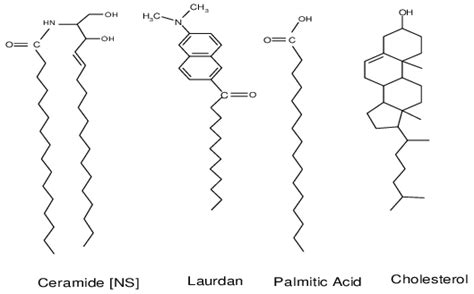 Chemical Structures Of Ceramide Ns Laurdan Palmitic Acid And