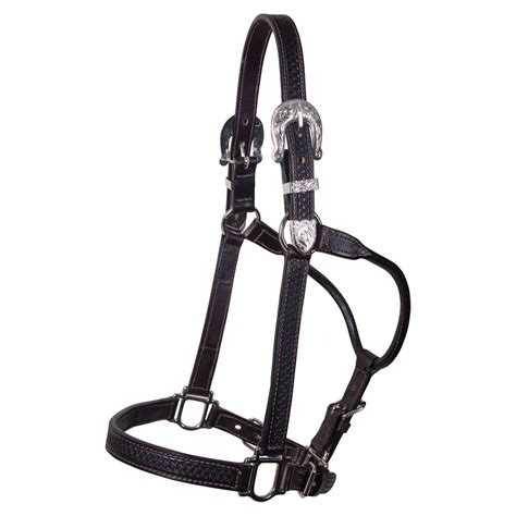 Billy Royal® Bailey Classic Show Halter In Qh Show Halters At Schneider
