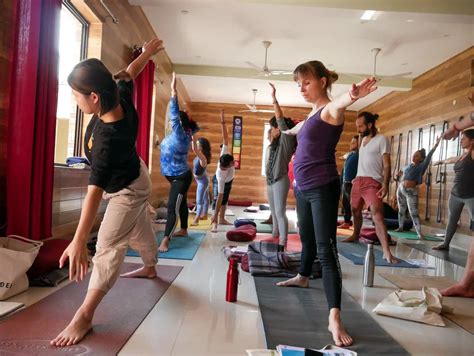 Beginner Yoga Classes Yoga Sadhana Guru