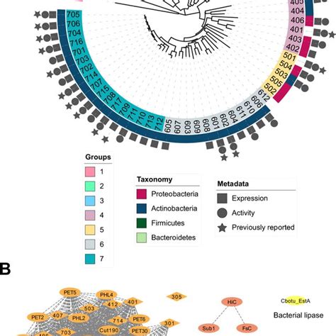 Bioinformatics And Machine Learning To Derive PET Hydrolase Sequences
