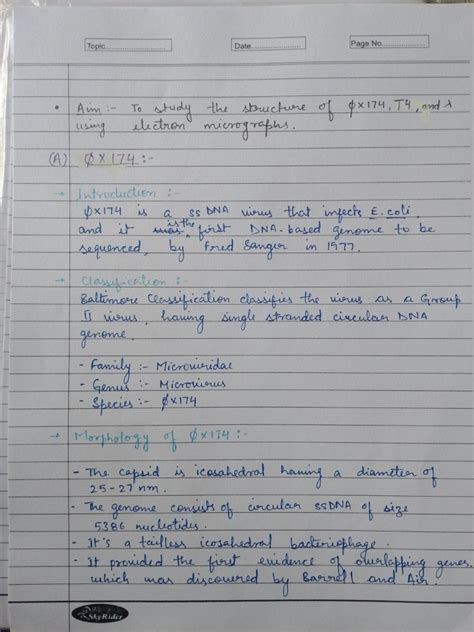 Bacteriophages Lambda Phi X 174 And T4 Pdf