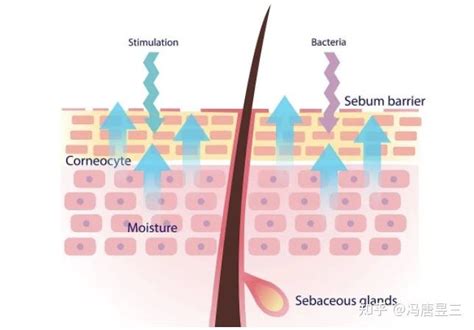 皮肤ph值到底有多重要 知乎