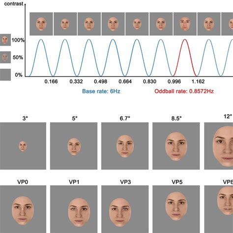 Schematic Illustration Of The Paradigm And The Experimental Conditions Download Scientific