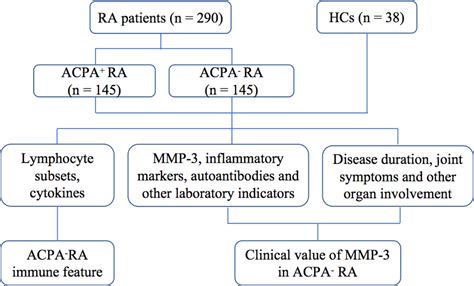 Frontiers Evaluation Of The Immune Feature Of Acpa Negative Rheumatoid Arthritis And The