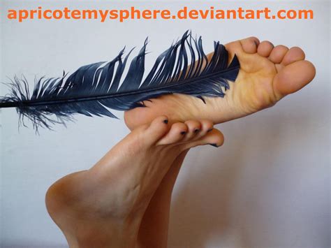Feather 13 By Apricotemysphere On Deviantart