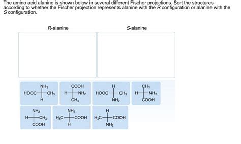 Solved The Amino Acid Alanine Is Shown Below In Several Chegg