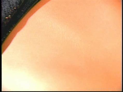 Choad Chasers 2005 Adult Empire