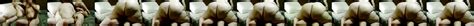 Ssbbw Brie Brown Bbw Riders Free Fat Chubby Porn Video 97