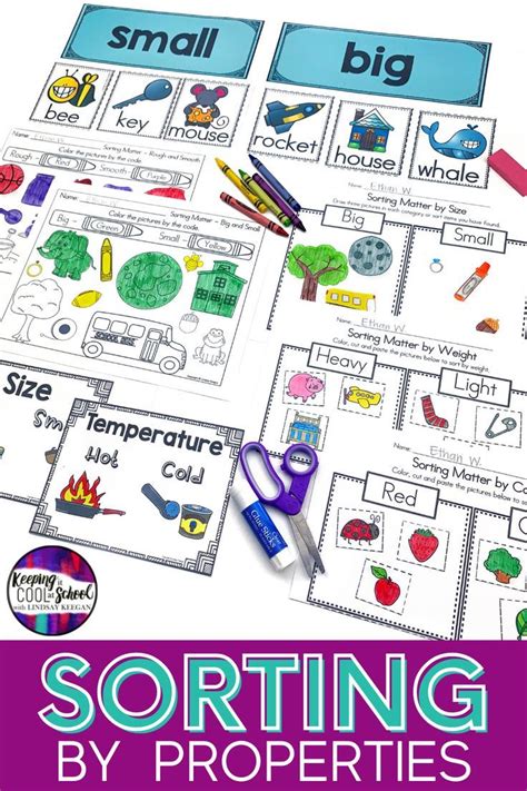 Sorting Objects Into Categories Activities By Attributes Size Color