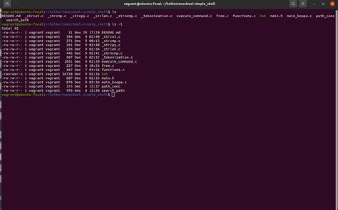 What Happens When You Type `ls L C` In The Shell By