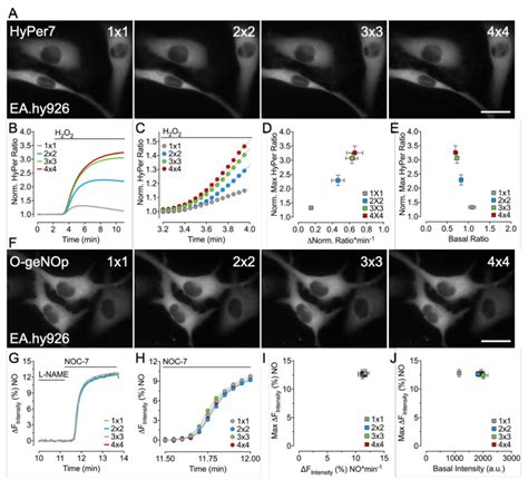 Effect Of Camera Binning Settings On Hyper7 And O Genop Profiles A