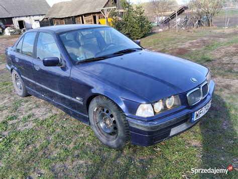 Bmw E36 98r 16 Łomża Sprzedajemypl