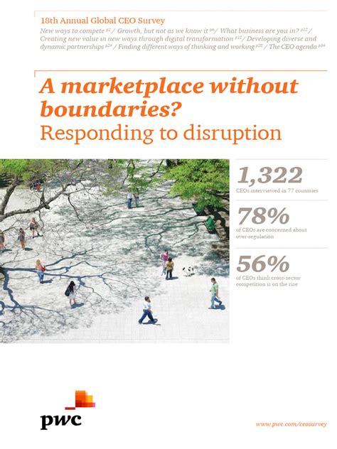 2015 Pwc A Marketplace Without Boundaries Pdf