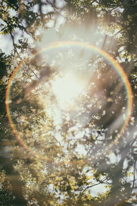 Pin By Ann On Catching The Light Shadow Nature Aesthetic Nature