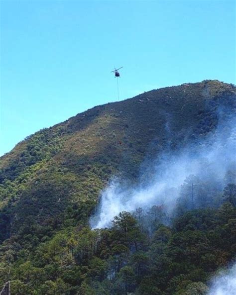 Brigadistas De Nuevo León Controlan Incendio Forestal En La Sierra De